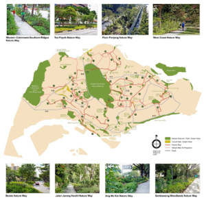 Reverse Engineering in Singapore’s Urban Planning (Part 2)